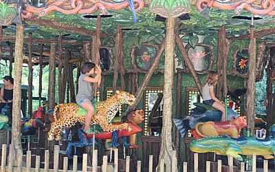 Rainforest Carousel Kids Ride & Attraction Sussex