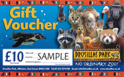 Zoo Gift Vouchers for Drusillas | Drusillas Park