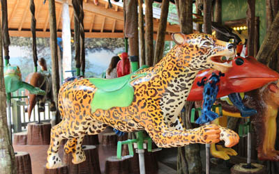 Rainforest Carousel Kids Ride & Attraction Sussex